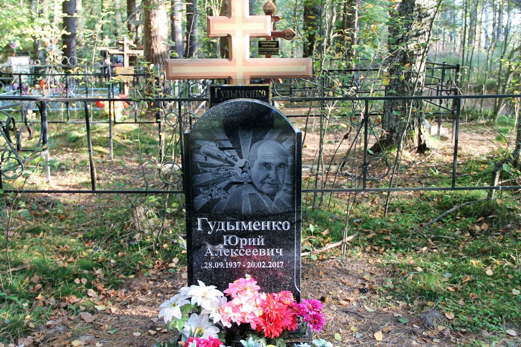 Mezarlıklar Елпатьевский погост, Yaroslavskaya oblastı, foto