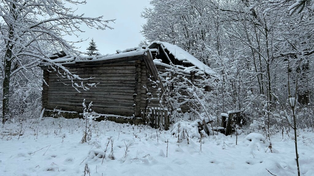 Turistik yerler Усадьба графа С.М. Толстого, Penzenskaya oblastı, foto