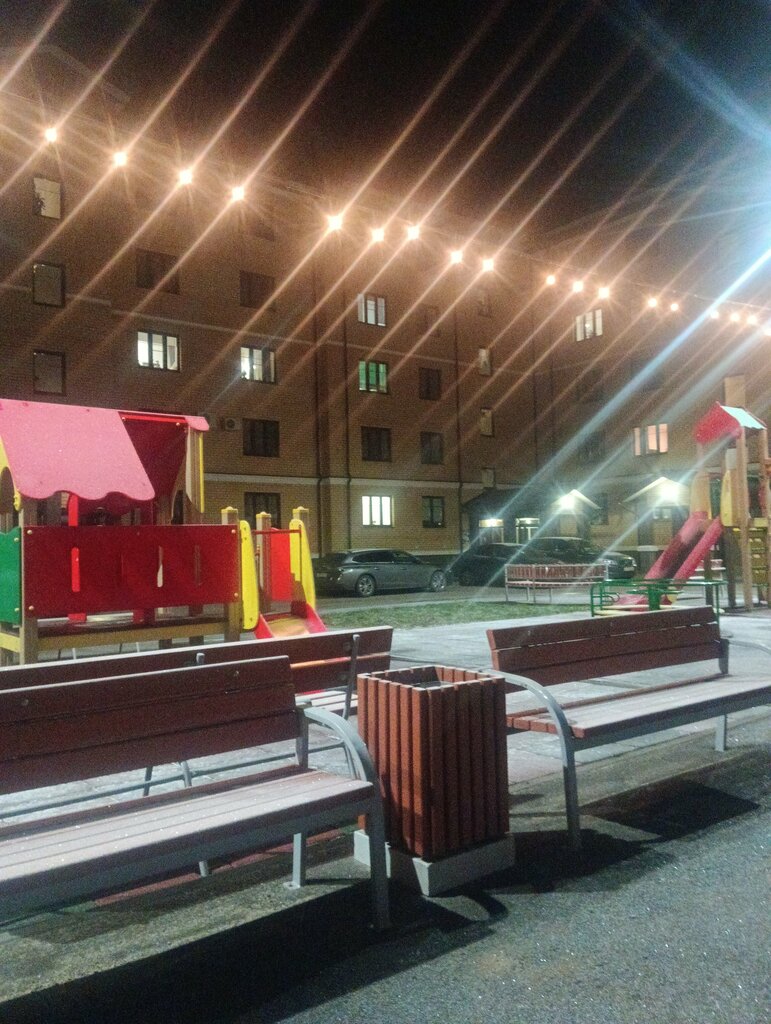 Oyun alanı Playground, Pskovskaya oblastı, foto