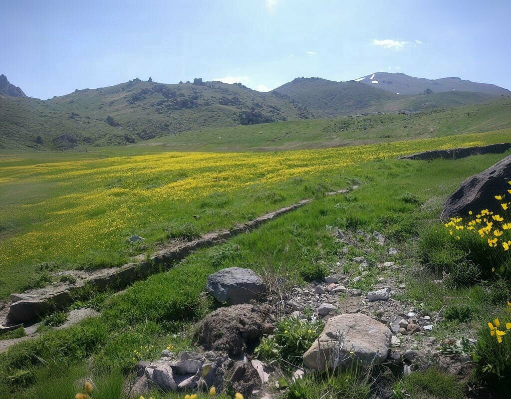 Dondurmacılar Olimipia Roma Dondurma, Kayseri, foto
