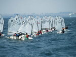Marina Dragos Yelken İhtisas Kulübü (Orhantepe Mah., Turgut Özal Blv., No:16, Kartal, İstanbul), spor kulüpleri  İstanbul'dan