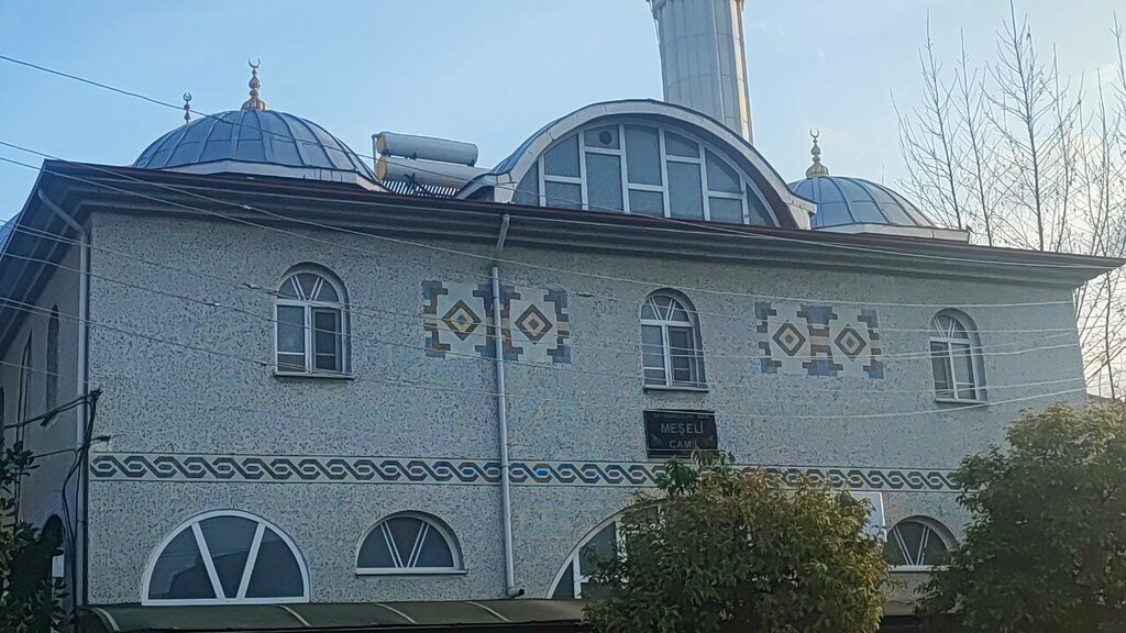 Cami Meşeli Cami, Bursa, foto