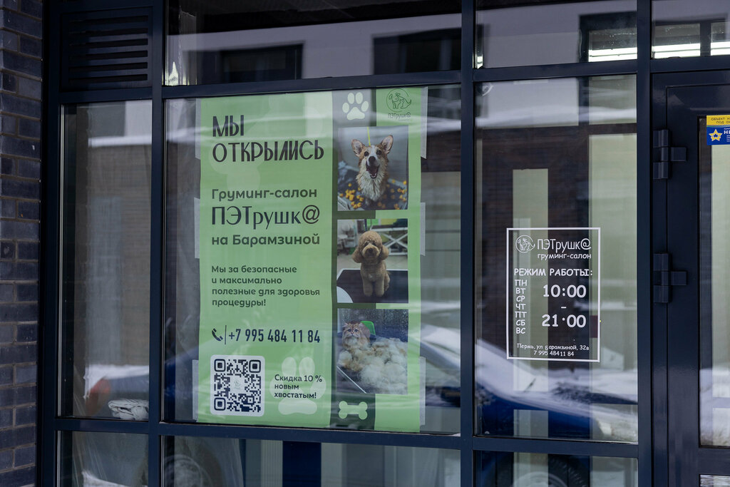 Evcil hayvan kuaförleri ПЭТрушка, Perm, foto