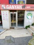 1412 Nolu Ganyan Bayi (İstanbul, Şişli, 19 Mayıs Mah., Aşçılar Sok., 30), şans oyunları  İstanbul'dan
