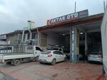 Aktaş Oto (Yiğitler Mah., C6. Sok., No:58, Yıldırım, Bursa), oto servis ve bakım ekipmanları  Bursa'dan