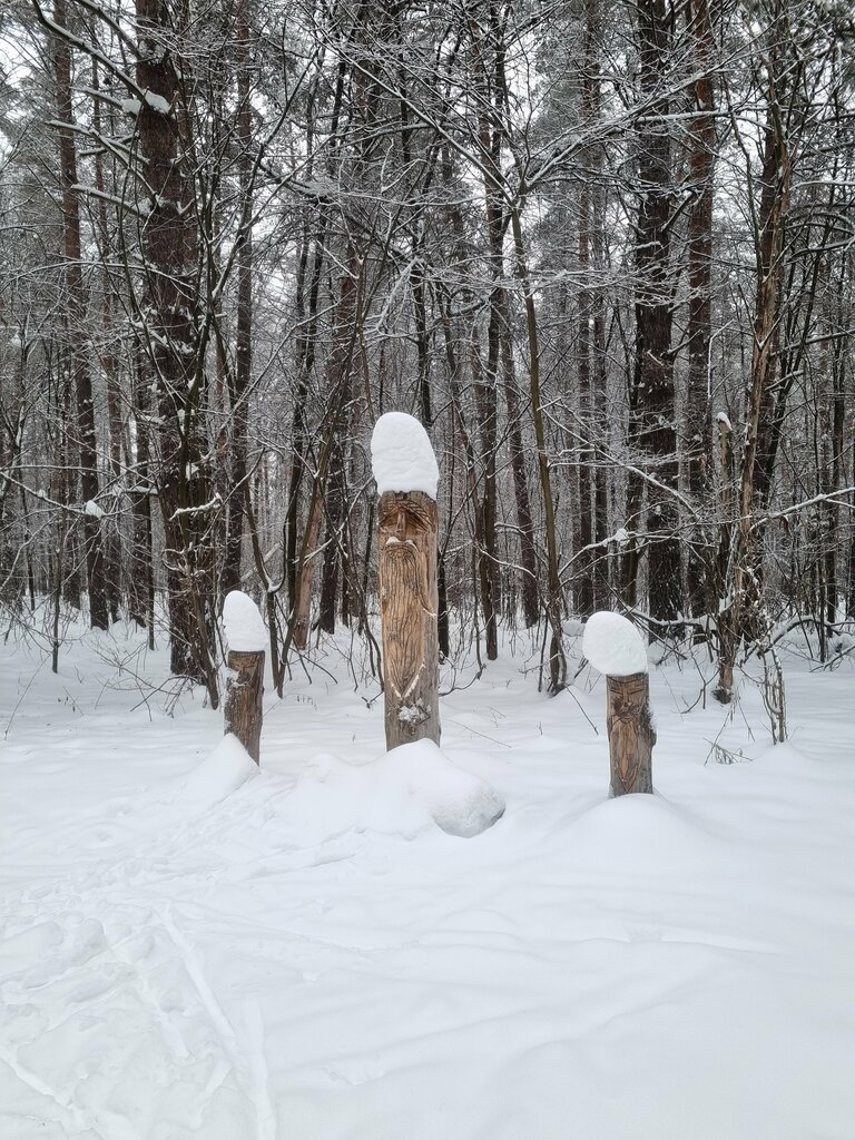 Turistik yerler Идол славянского бога Родъ, Samarskaya oblastı, foto