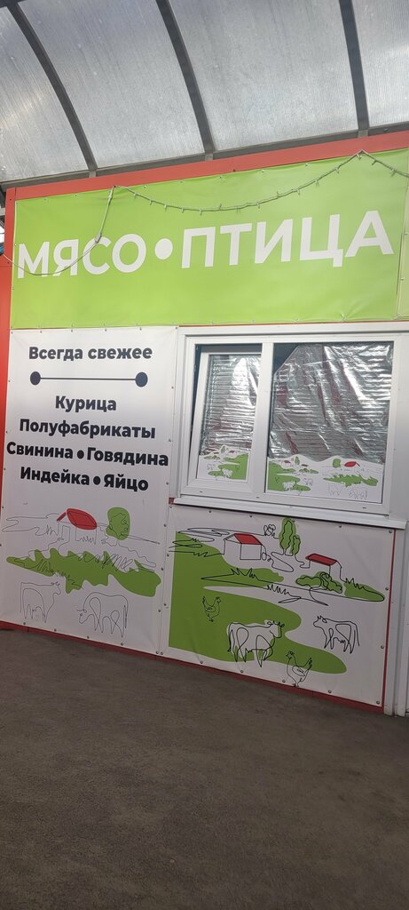 Kasap, şarküteri Мясо, птица, Şahty, foto