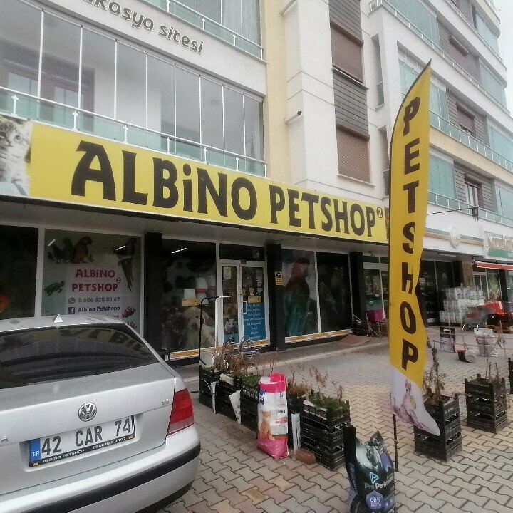 Petshop Albino Petshop, Konya, foto