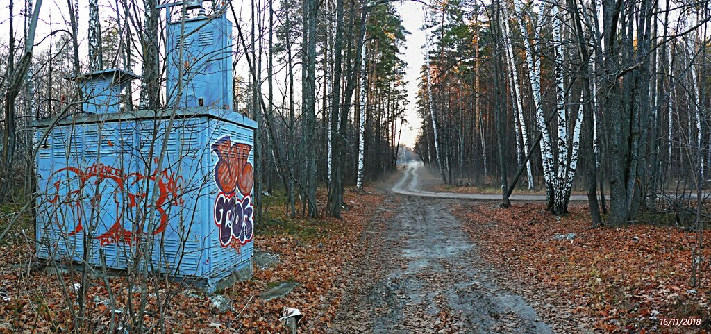 Çöp alanları Trash and garbage disposal area, Zarechny, foto