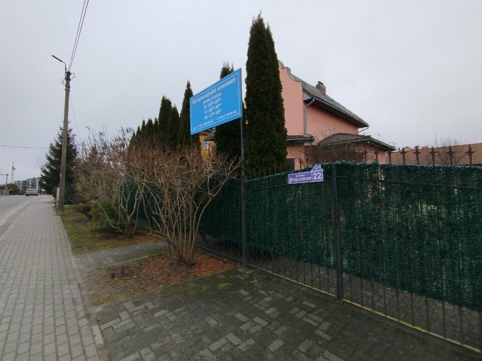 Veteriner klinikleri Центр ветеринарной медицины, Svetlogorsk, foto