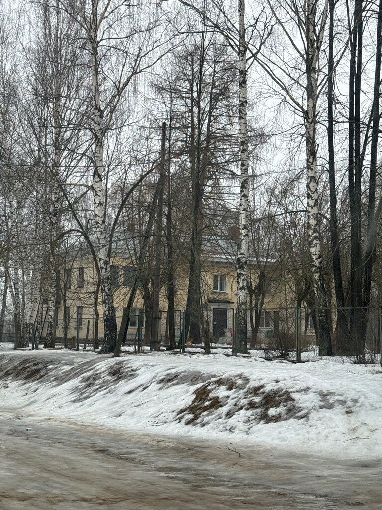 Anaokulları Kindergarten No. 44 Zolotoy klyuchik, Kineşma, foto