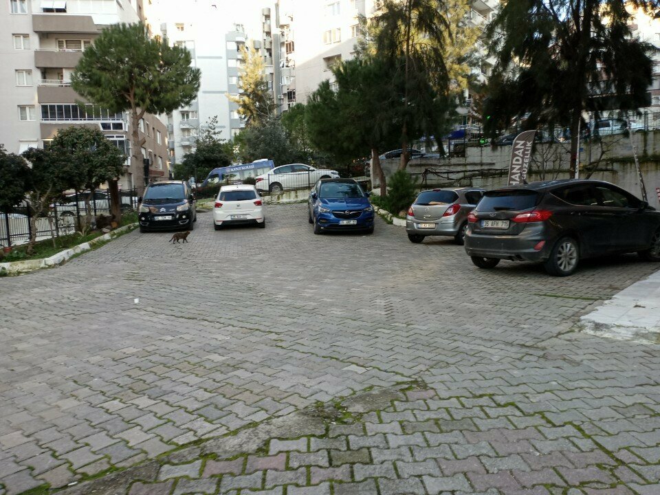Eczaneler Buca Koop, İzmir, foto
