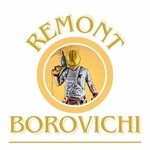 Remont Borovichi (ulitsa Gogolya No:138), i̇nşaat ve tasarım hizmetleri  Borovichy'den