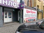 ЦвеТочка (Leningradskaya ulitsa No:42В), çiçekçiler  Ussuriysk'ten