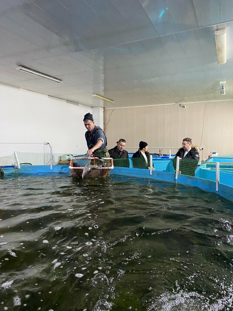 Çiftlik tatili Осетровая ферма, Çeliabinskaya oblastı, foto