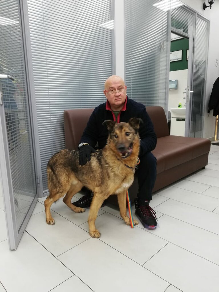 Yardım kuruluşları Помощь Бездомным Беспородным Животным, Moskova, foto