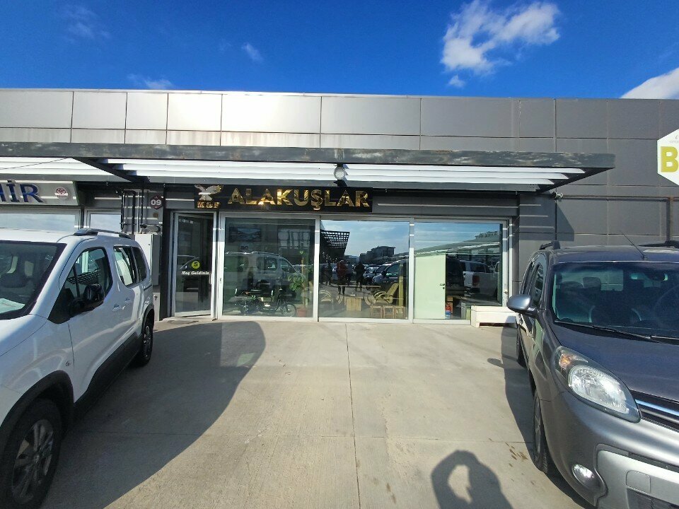 Otomobil satış galerileri Alakuşlar Otomotiv, Ankara, foto