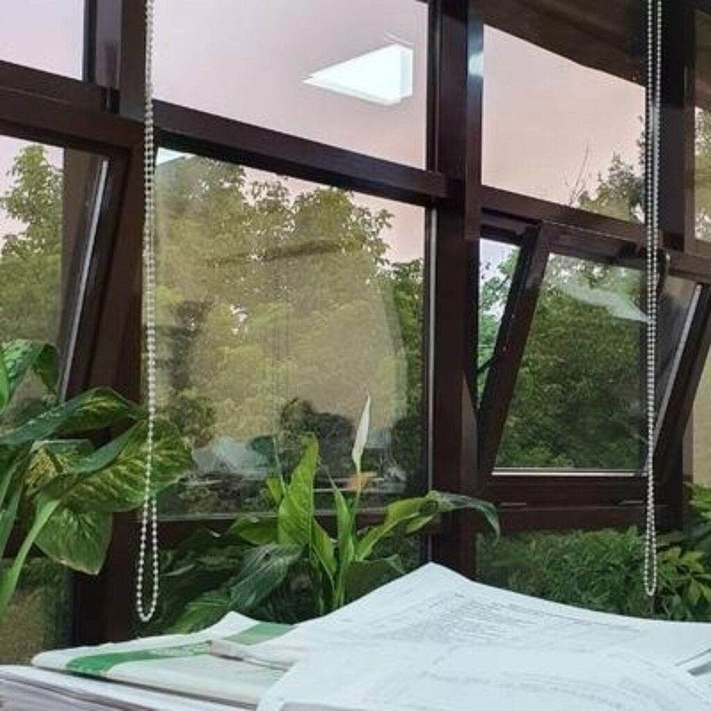 Otel Han Saraiy, Almatı, foto