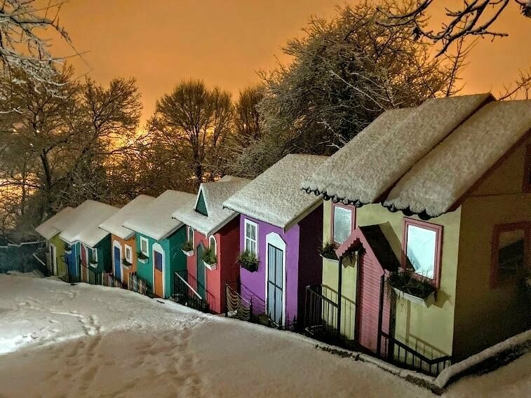 Pet otel Patim Pet Pansiyon, İstanbul, foto