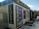 Семена (ulitsa Bagrationa No:4/6, posyolok Amurskiy), tohum satan yerler  Omsk'tan