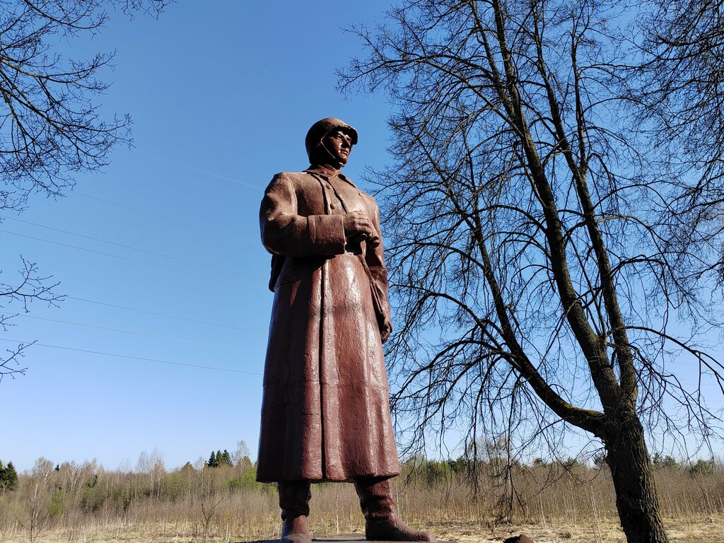Anıt, heykel Братская могила бойцов 230-го запасного учебного стрелкового полка, Moskova ve Moskovskaya oblastı, foto