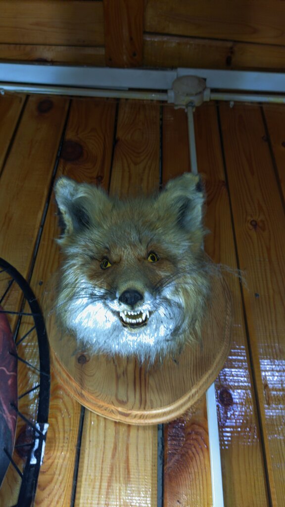 Kafe Кафе, Amursk Bölgesi, foto