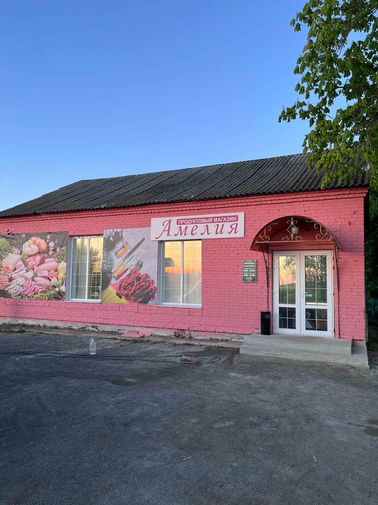 Mini-market Амелия, Minskaya oblastı, foto