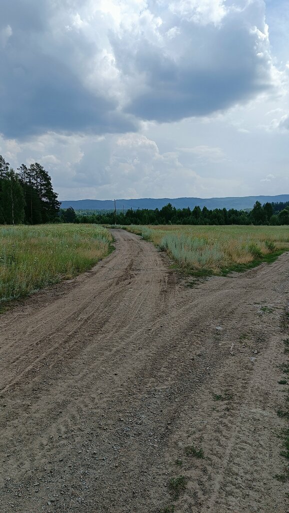 Orman işleri Кордон Михеевский, Çeliabinskaya oblastı, foto