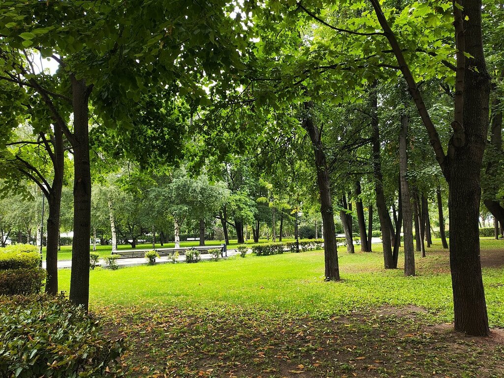 Meydan 40 Years of October Public Garden, Moskova, foto