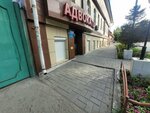 Advokat Nuralkhanova Gulzhanat Ryskhalievna (Ïnternacïonal street No:28), avukatlar  Semey'den