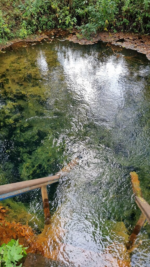 Doğa Гремучий колодец, Riazanskaya oblastı, foto