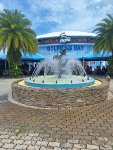 Nemo Dolphinarium (Mueang Phuket, Chalong Settlement), akvaryumlar