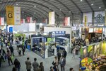 Boxa S. A. C. (Distrital San Juan de Lurigancho, Jirón Coyllur, 462), gıda işleme ekipmanları firmaları  Lima'dan
