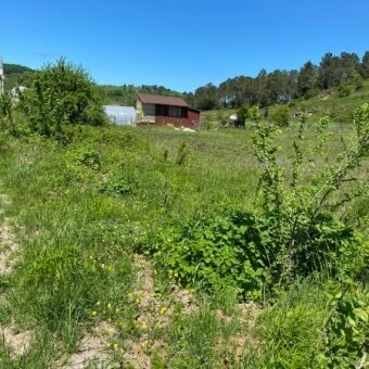 Emlak ofisi Ümit Emlak, Şile, foto