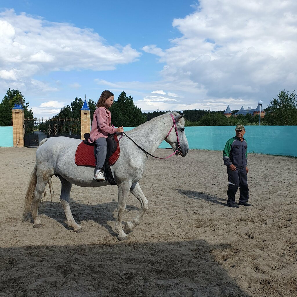 At ve binicilik kulüpleri Конный клуб, Sverdlovskaya oblastı, foto