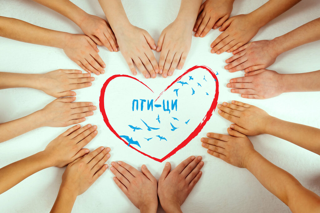 Dans okulları Pti-Tsi, Jukovski, foto