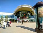 Gps4kid (Qabanbaı Batyr dańǵyly No:62), saatçiler  Astana'dan