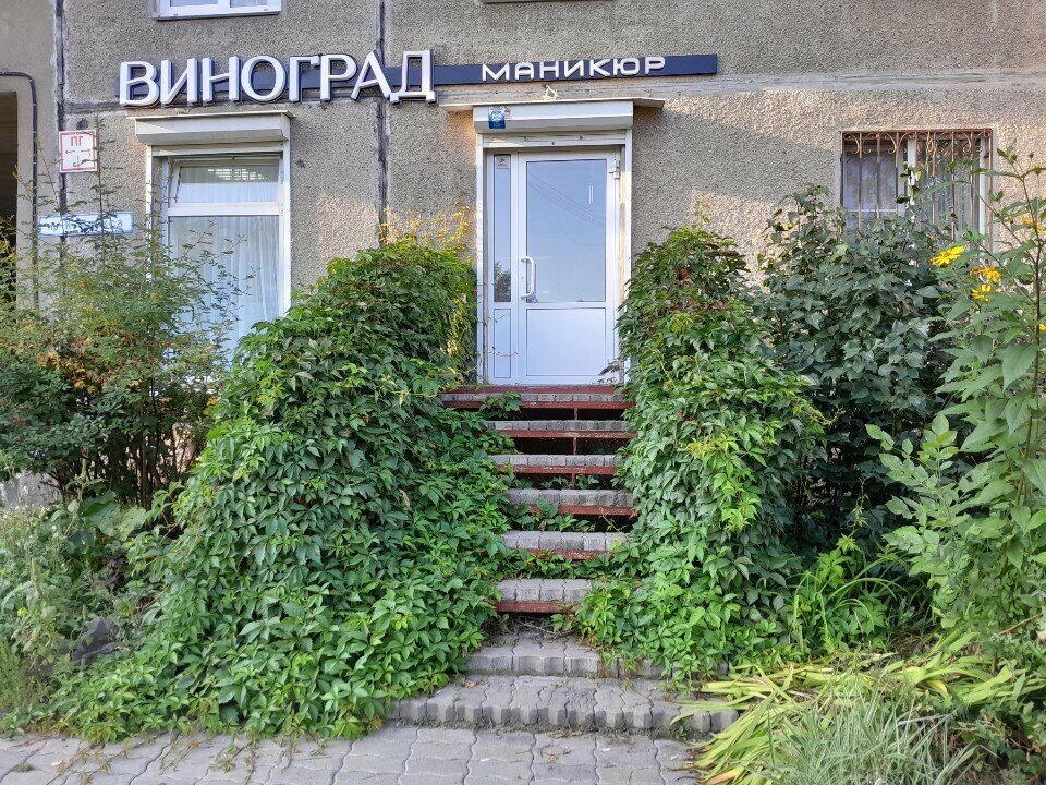 Manikür-pedikür Виноград, Magnitogorsk, foto