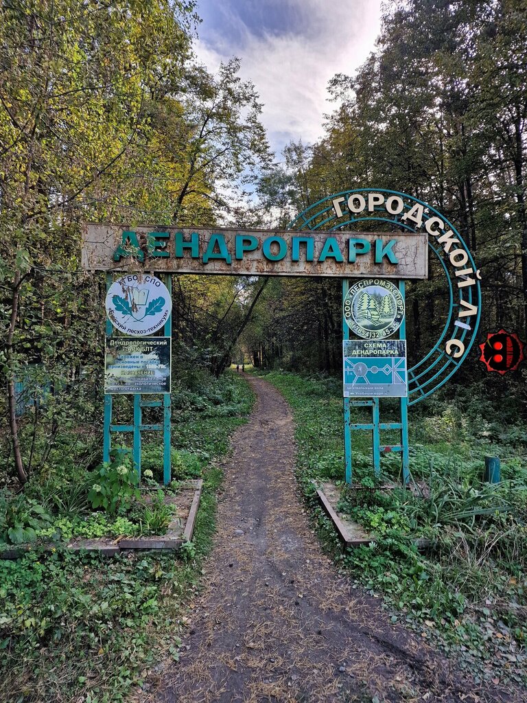 Kültür ve eğlence parkları Дендропарк, Biysk, foto