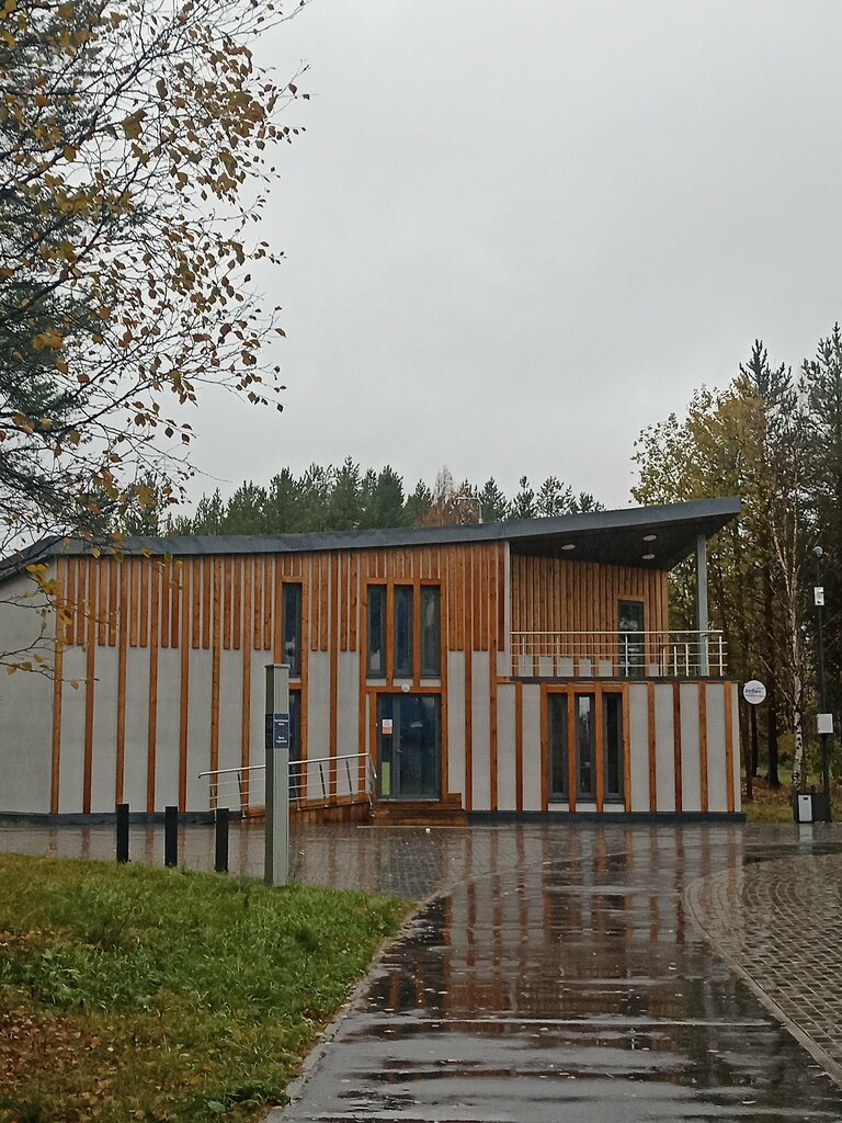 Sosyal grup Центр Добро, Polyarnie Zori, foto