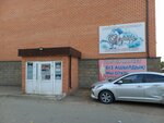 Dostar (Súleımenov kóshesi No:8В), market  Kökşetav'dan
