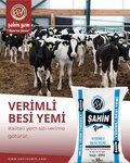 Şahin Tavukçuluk Yem Gıda İnşaat (Havutlu Mh., Karataş Yolu 10 km., No:730, Yüregir, Adana), yem ve yem katkı maddeleri  Adana'dan