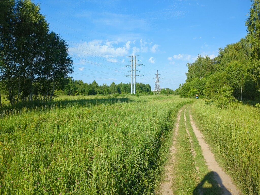 Orman Заброшенный плодопитомник, Kazan, foto