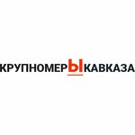 Крупномеры Кавказа (Moscow Region, Odintsovskiy Urban District, posyolok Gorki-2), fidan yetiştiriciliği  Moskova ve Moskovskaya oblastından