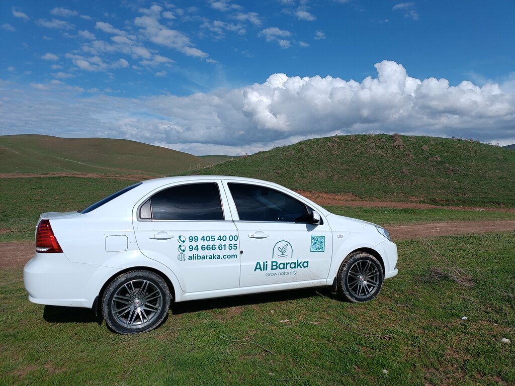 Sera ekipmanları Alibaraka, Taşkent eyaleti, foto