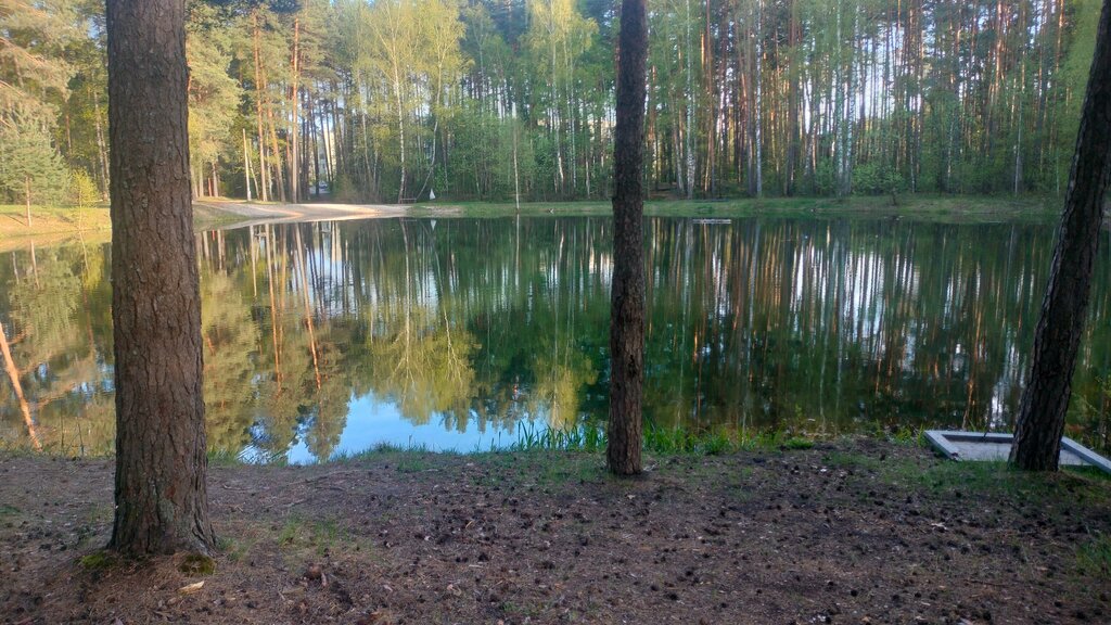 Plaj Пляж, Moskova ve Moskovskaya oblastı, foto