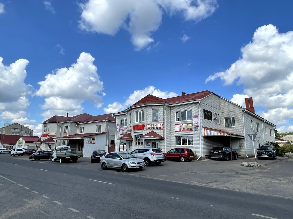Otomobil yedek parçaları AutoWorld, Boguçar, foto