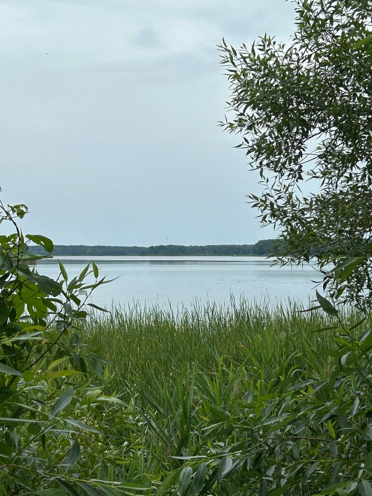 Çiftlik tatili U Bondara na Zagrebli, Minskaya oblastı, foto