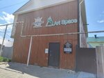 Art Space (Kostanay, Soltústik-Batys yqsham aýdany, 73-shi oram), meslek kursları  Kostanay'dan