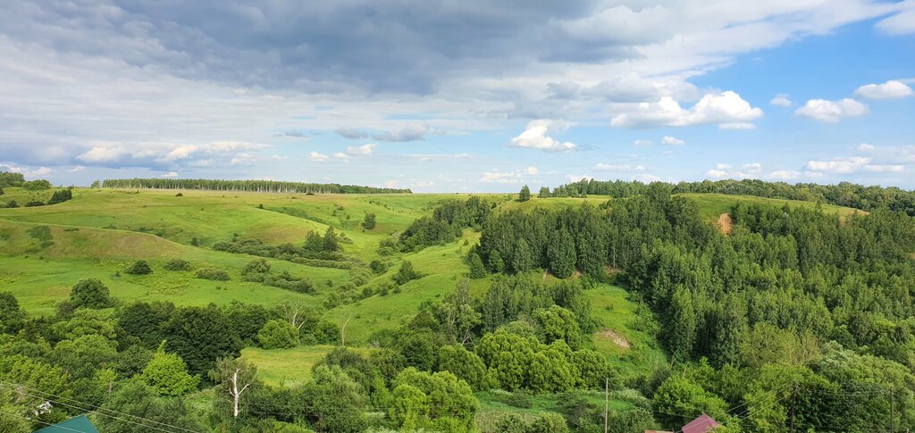 Dağ zirvesi Гора Гневна 75 метров, Riazanskaya oblastı, foto